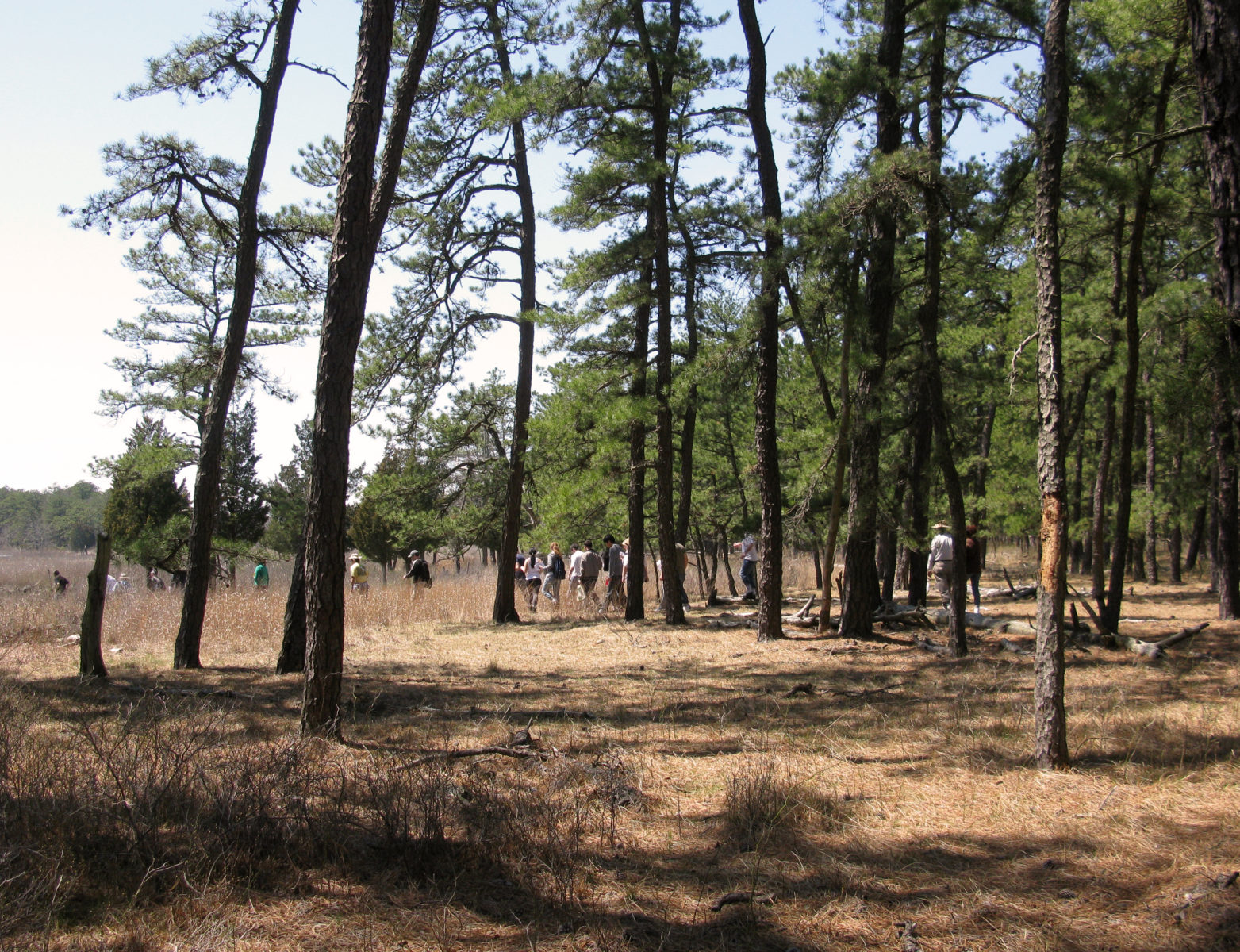 Explore the Long Island Pine Barrens - Recreational Opportunities