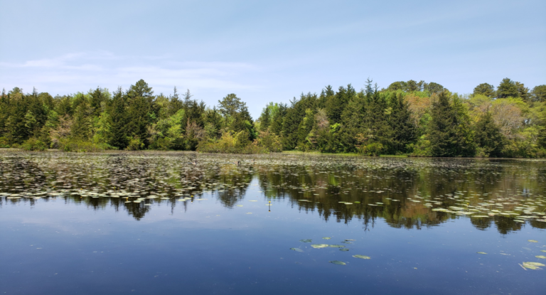 What is the Long Island Pine Barrens?
