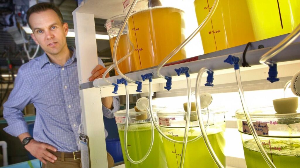 Five Questions with a Scientist & Professor