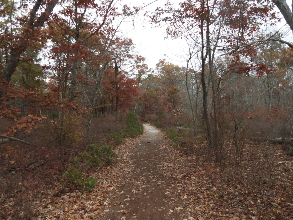 The Joy of Seasonality: Why You Should Hike Year-Round